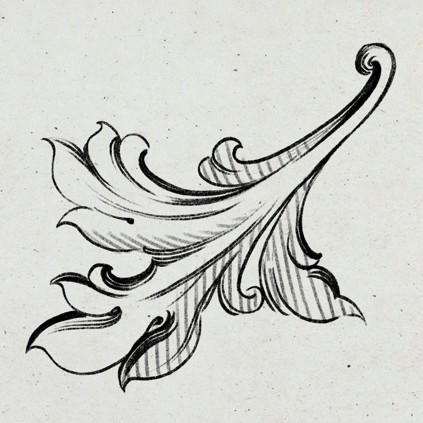 Flash 6 – Ulises Indio